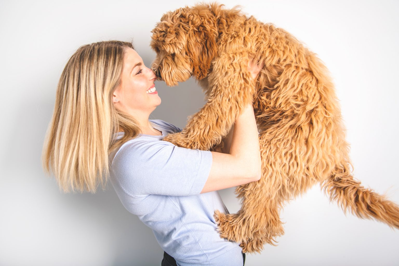 Fun Tricks You Can Teach Your Goldendoodle | Hidden Acres Puppies